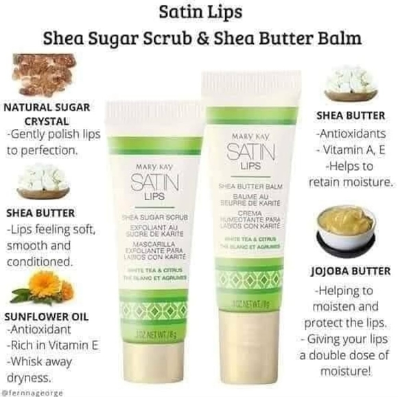 Mary Kay | Skincare | Mary Kay Satin Lips Set | Poshmark